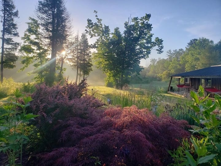 رزرو هتل بی اند بی (Rising Spirit Bed & Breakfast) کلارینگتون | فلای‌تودی